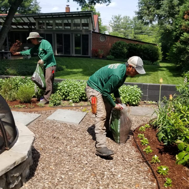 Robleros – Lawn & Landscaping